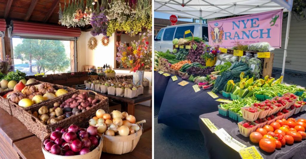 10 California Roadside Fruit Stands Offering Seasonal Produce And Snacks