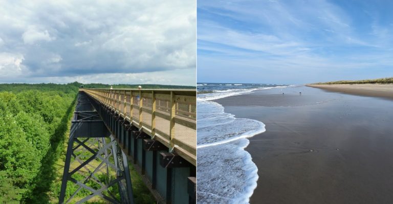 10 Easy Hiking Trails In Virginia That Feel Made For A June Morning