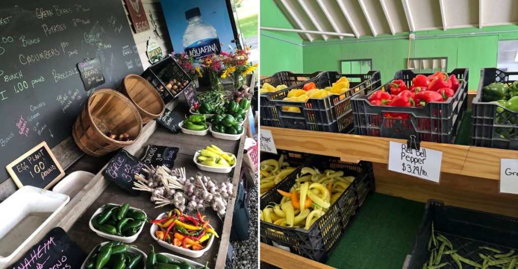 10 Farm Stands In Illinois That Are Totally Worth A Summer Drive