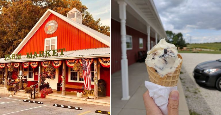 10 Illinois Farms Beloved For Rich Ice Cream, Fresh Treats, And Country ...