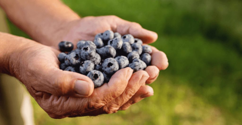 10 Nutrition-Packed Fruits That Deserve A Place In Every Diet