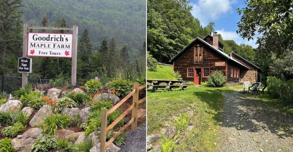 10 Vermont Maple Stores Where Pancake Plans Get Out Of Hand