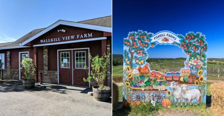 11 New York Cider Donut Stops Where Fall Starts Early