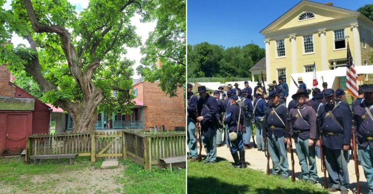 11 Ohio Heritage Farm Visits That Feel Perfect For A June Visit