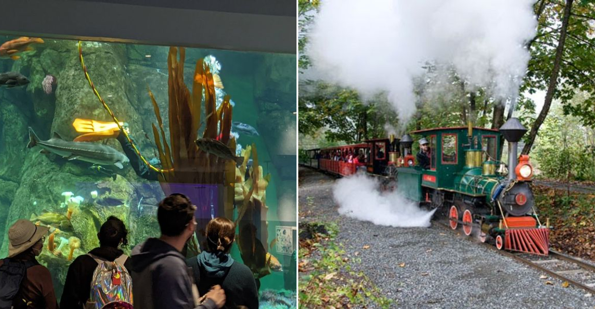 11 Washington Family Day Trips That Make Summer Feel Easy And Fun