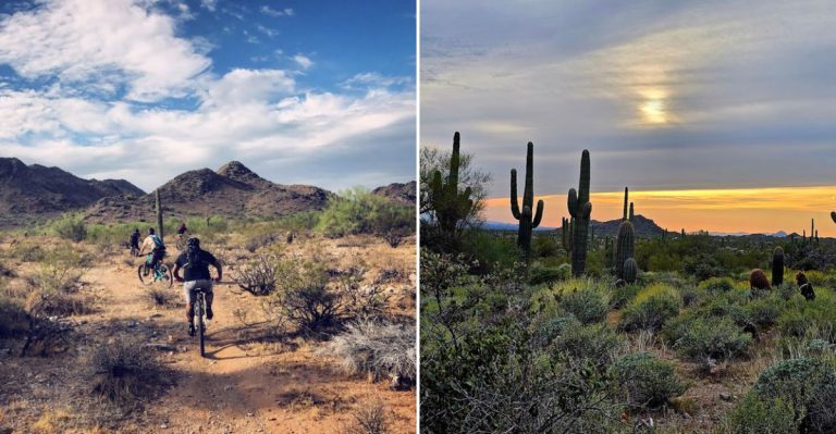 12 Family-Friendly Hikes In Phoenix, Arizona Where The Trails Are Short ...