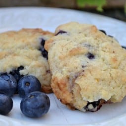 Blueberry Almond Cookie Recipe - Ever After in the Woods