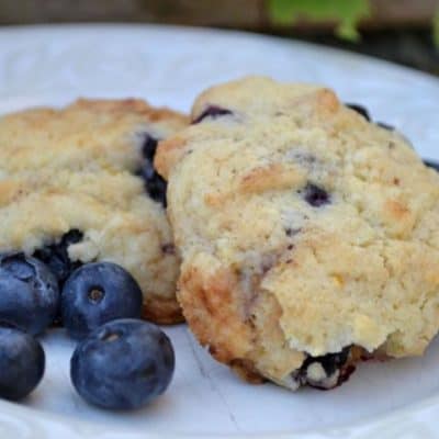 Blueberry Almond Cookie Recipe - Ever After in the Woods
