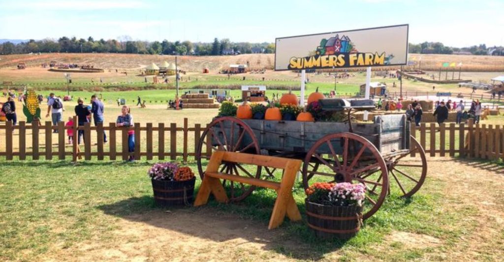 13 Maryland Fall Festivals Where The Food Alone Makes The Trip Worth It