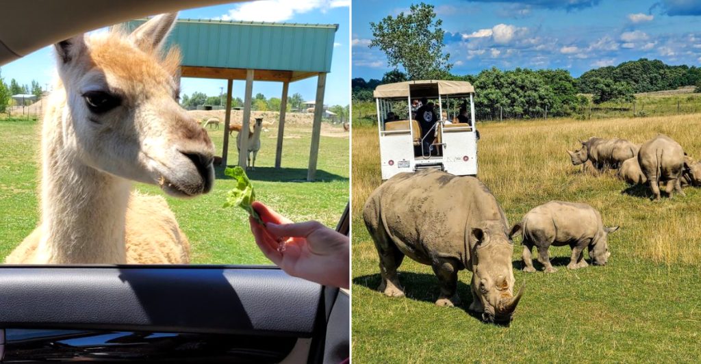 13 Ohio Family Day Trips That Make Summer Feel Easy And Fun
