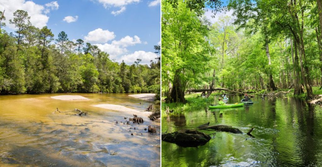 14 Little Known Florida Rivers And Runs That Turn Kayak Trips Into Escapes
