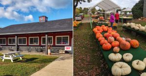 14 Michigan Roadside Food Stands That Belong On Every May Travel Route