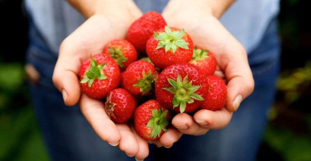 16 Delicious Bites That Won’t Pack on the Pounds