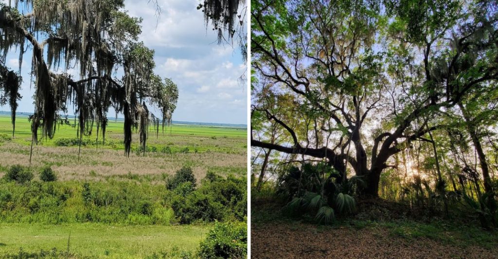 A 16-Mile Bike Trail In Florida Follows An Old Railroad Past A Prairie ...