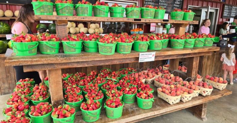 A Classic Tennessee Orchard Serving Fresh Peaches And Timeless Summer Vibes
