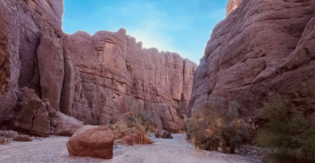 California's New Desert Monument Turns Canyons, Mountains, And Silence ...