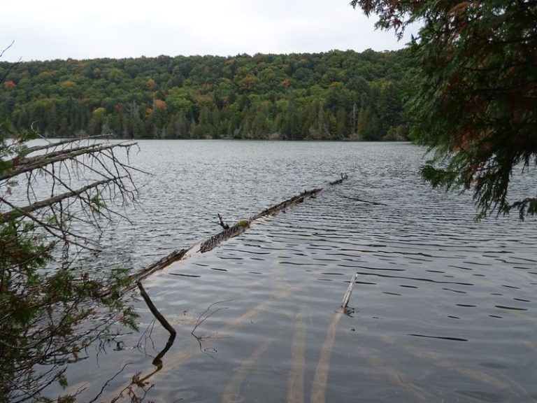 15 Beautiful Hidden Lakes In Michigan That Are Worth The Hike