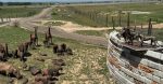 Colorado’s Massive 1,400-Acre Wildlife Sanctuary Lets You See Exotic ...