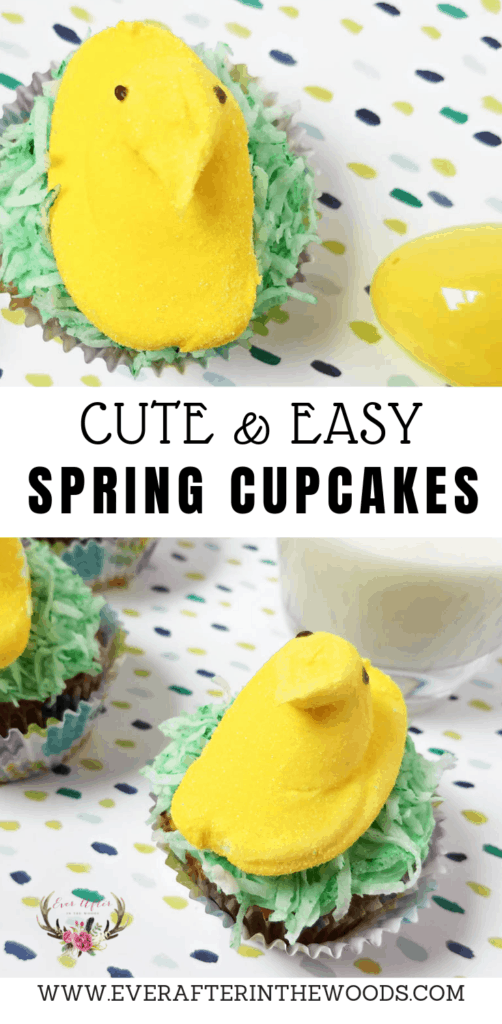 Cute & Easy Spring Cupcakes - Ever After in the Woods