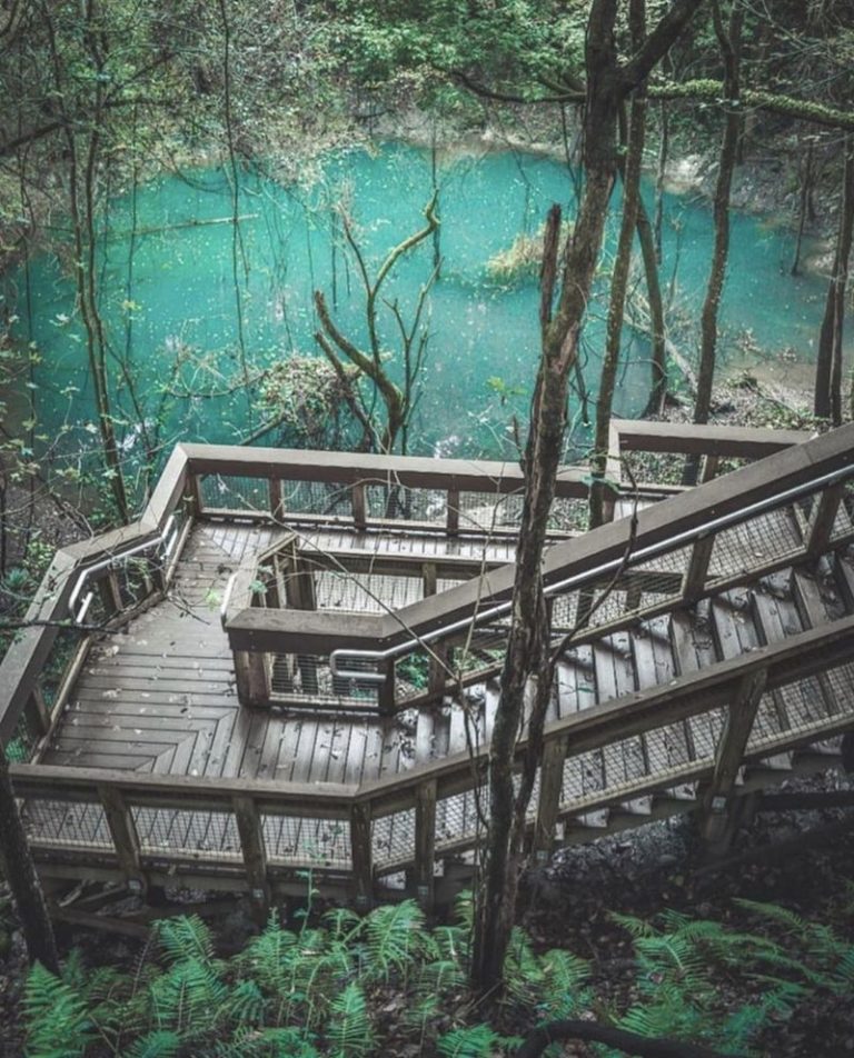 Descend 120 Feet Into A Secret Mini Rainforest At This Florida Park