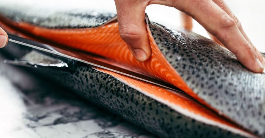 Every Type of Salmon, Ranked From Worst To Best