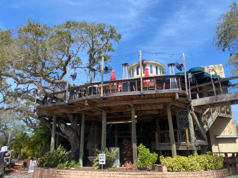 This Giant Tree House Restaurant In Florida Looks Like A Fairytale