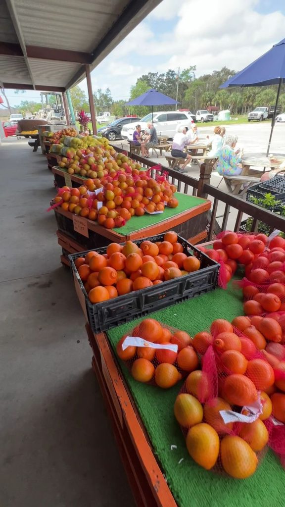 These Florida Citrus Stands Serve Sunshine By The Cup