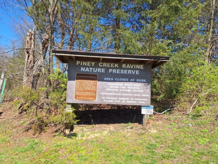 Follow This Illinois Trail To Uncover Ancient Petroglyphs In The Forest