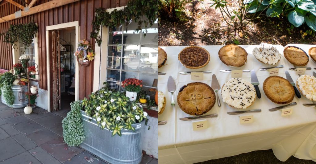 For Marionberry Pie Lovers, This Oregon Bakery Is A Must-Stop On Any ...