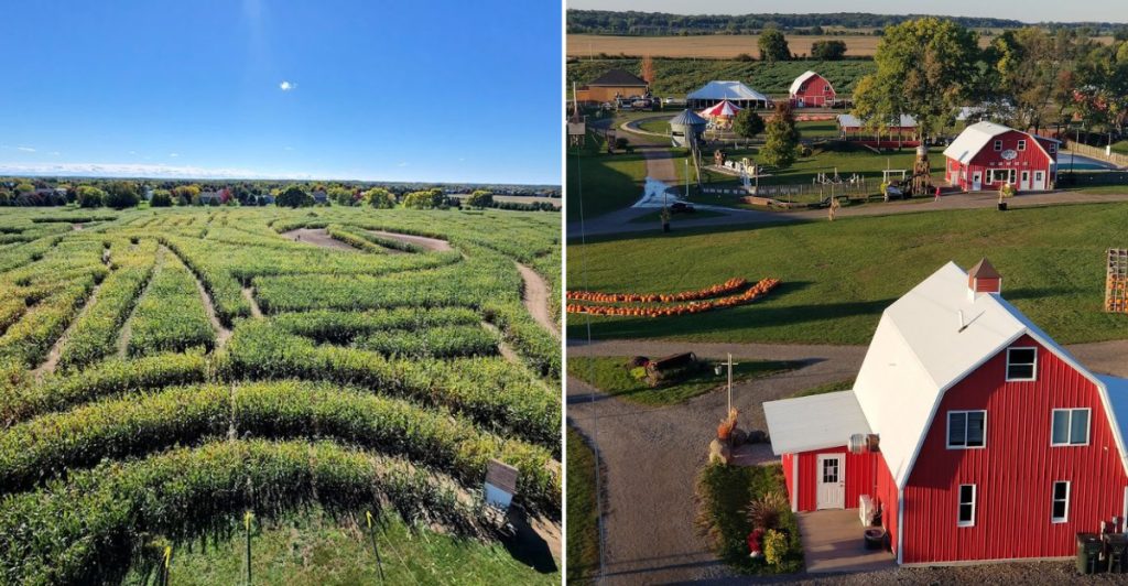 Illinois Is Home To The Largest Corn Maze In The Midwest, And Families ...