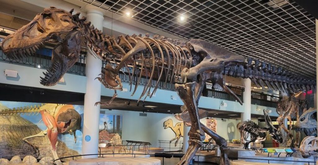 Inside This Pennsylvania Museum, You Can Get Hands-On With Science And ...