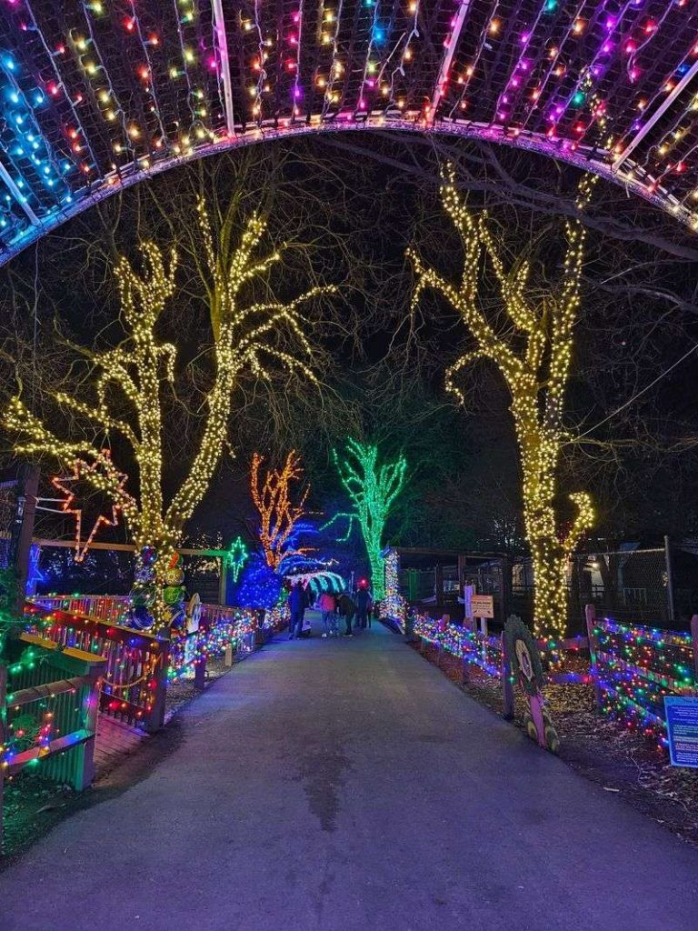 15 Pennsylvania Cities With Christmas Light Displays Everyone Should ...