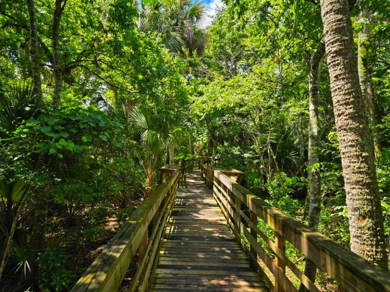 One Of Florida’s Oldest Natural Springs Reveals A Boardwalk, Caves, And ...