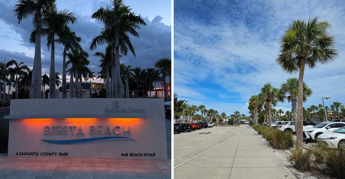 Only One American Beach Landed In The World's Top 30, And It's Right ...