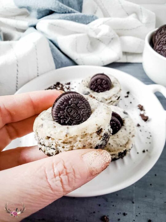 Oreo Cheesecake Bites - Ever After in the Woods