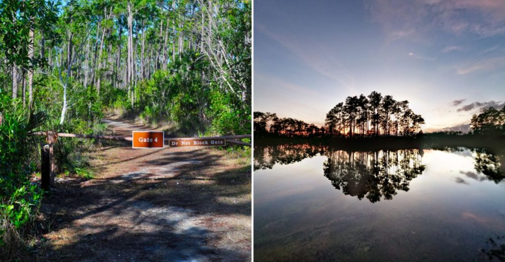 Pedal Through 7 Miles Of Untamed Everglades Beauty On This Bike Trail ...