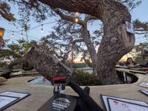 This Giant Tree House Restaurant In Florida Looks Like A Fairytale