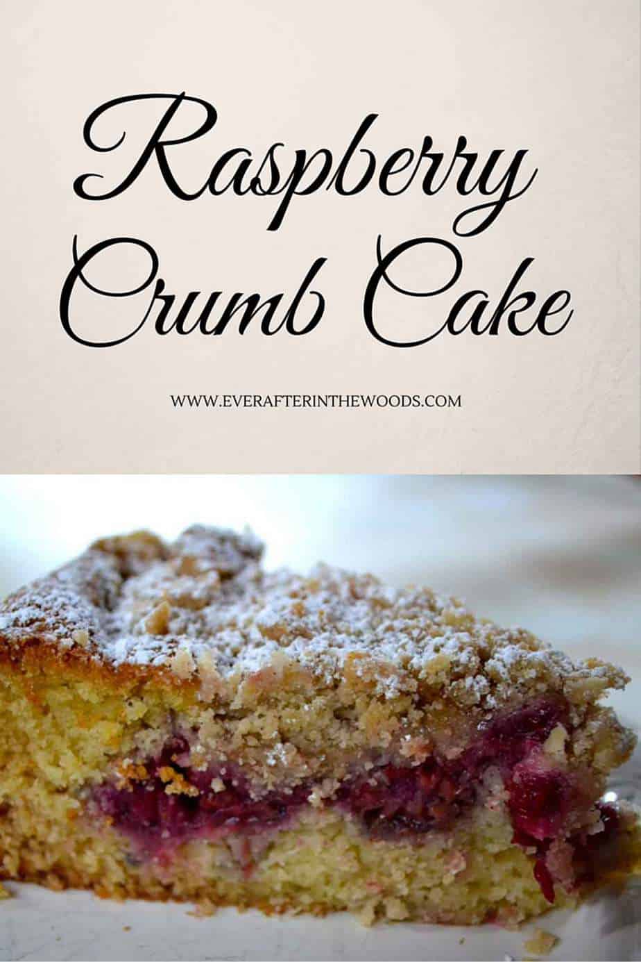 Delicious Raspberry Crumb Cake - Ever After in the Woods