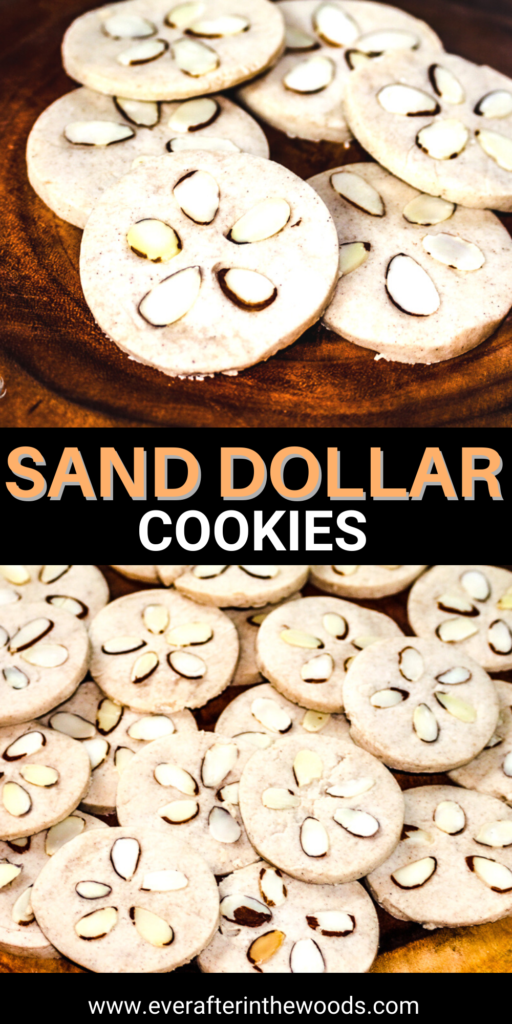 Sand Dollar Cookies - Ever After in the Woods