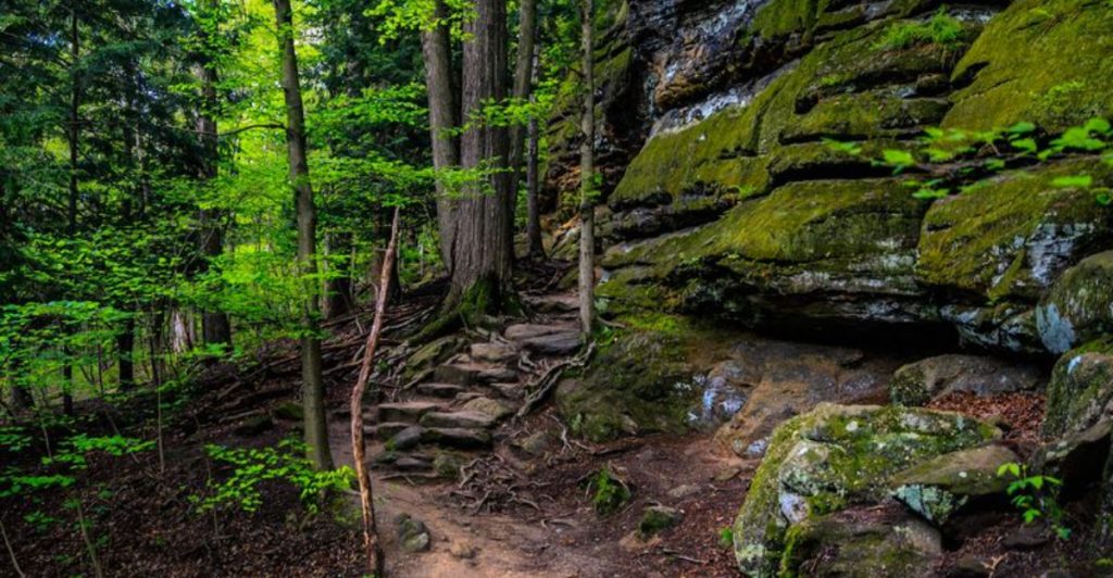 The Enchanting Ohio Forest Trail That Looks Too Magical To Be Real