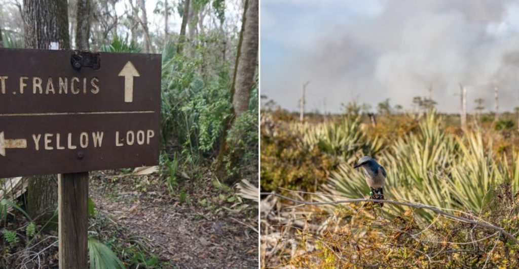 The Florida Trail That Takes You To A Ghost Town Few People Know Exists