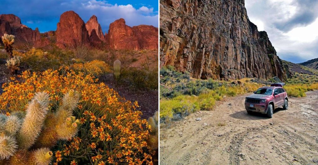 The Secret Nevada Desert Oasis That Looks Straight Out Of Another World