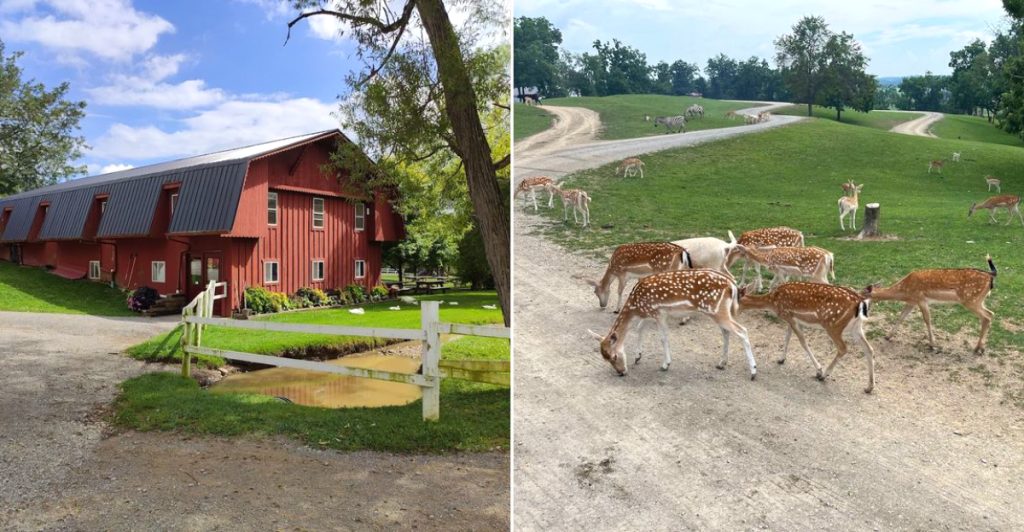 These 13 Ohio Amish Country Stops Make June Feel Wonderfully Unhurried