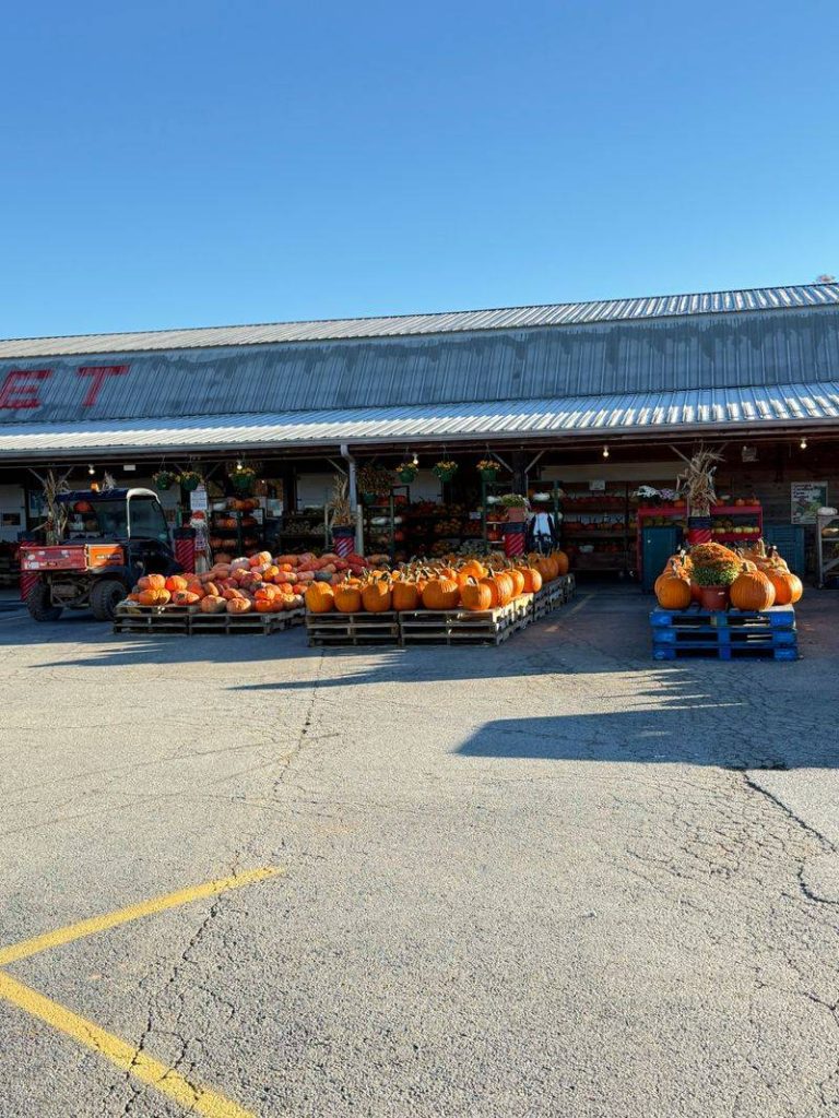 These Georgia Roadside Stops Make Every Road Trip Absolutely Worth It