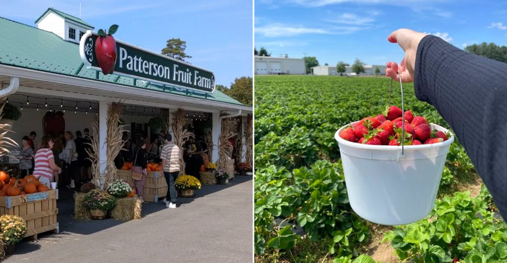 These Ohio Farms Let You Pick Your Own Strawberries Every Spring