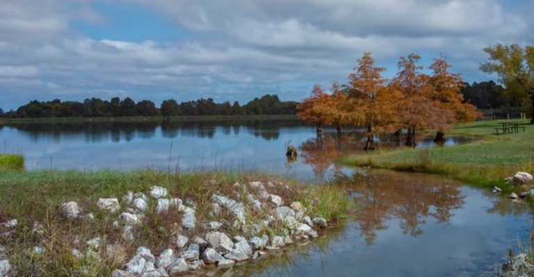 These Peaceful Arkansas Backroads Are Perfect for a Slow Scenic Escape