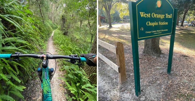 This 22-Mile Florida Bike Trail With Small Town Stops And Forest Views ...