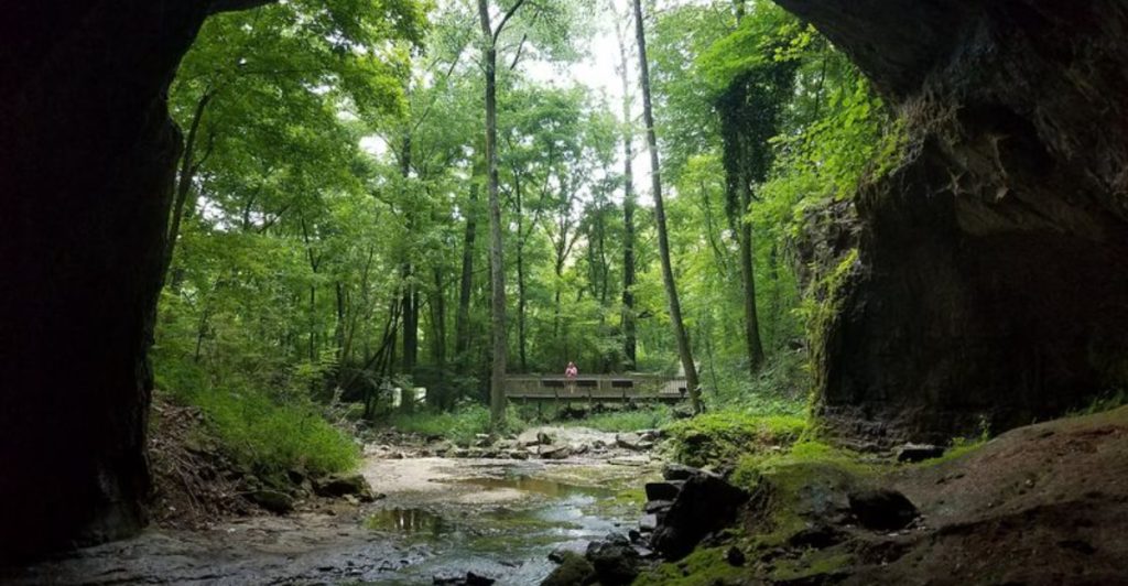 This Alabama Cave Turns Summer Dusk Into A Swirling Bat Spectacle