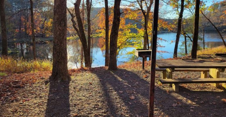 This Arkansas Lake Campground Feels Like A Secret Summer Retreat Hidden ...