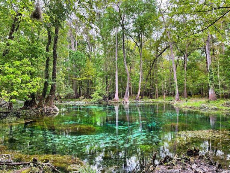 This Beautiful 1.7-Mile Hike In Florida Takes You Past 5 Stunning ...